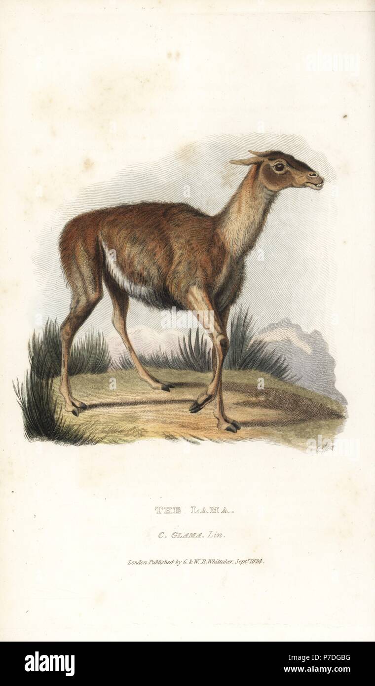 Harriet griffith hi-res stock photography and images - Alamy