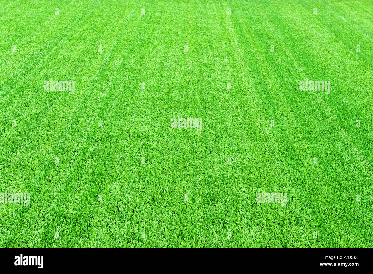 Football stadium green grass background Stock Photo - Alamy