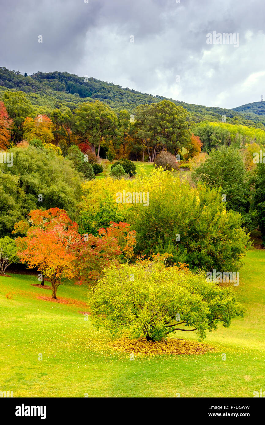 Colorful Australian autumn in Mount Lofty, South Australia Stock Photo ...