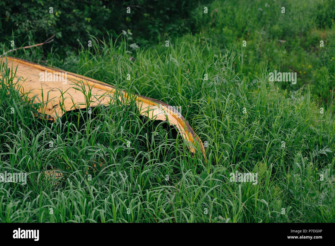 Broken rowing boat overgrown with tall grass Stock Photo - Alamy