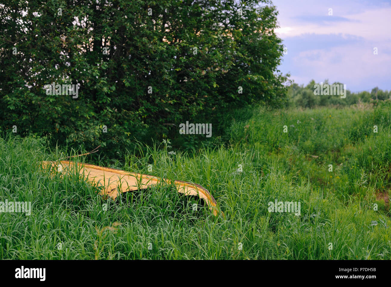 Broken rowing boat overgrown with tall grass Stock Photo - Alamy