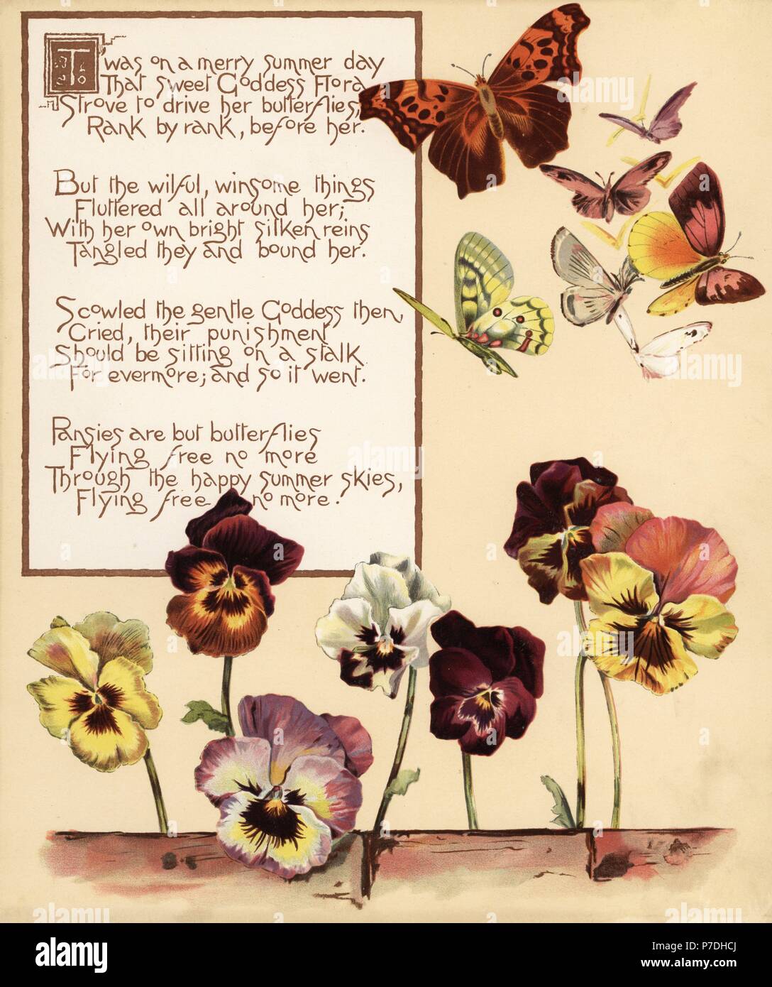 Pansies, Viola tricolor, and butterflies with calligraphic poem in box ...