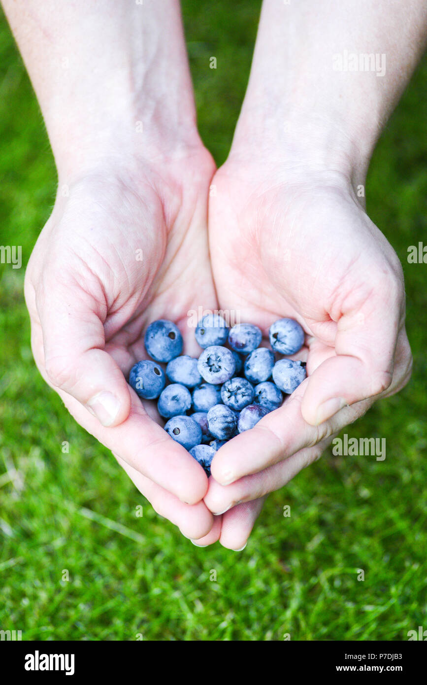 Kids hands holding fresh hi-res stock photography and images - Alamy