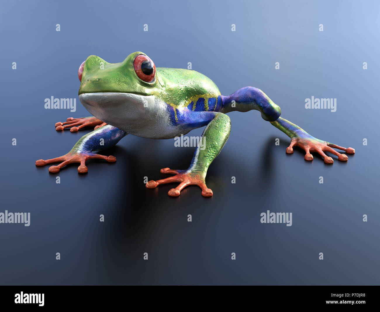 Blue Red Eyed Tree Frogs