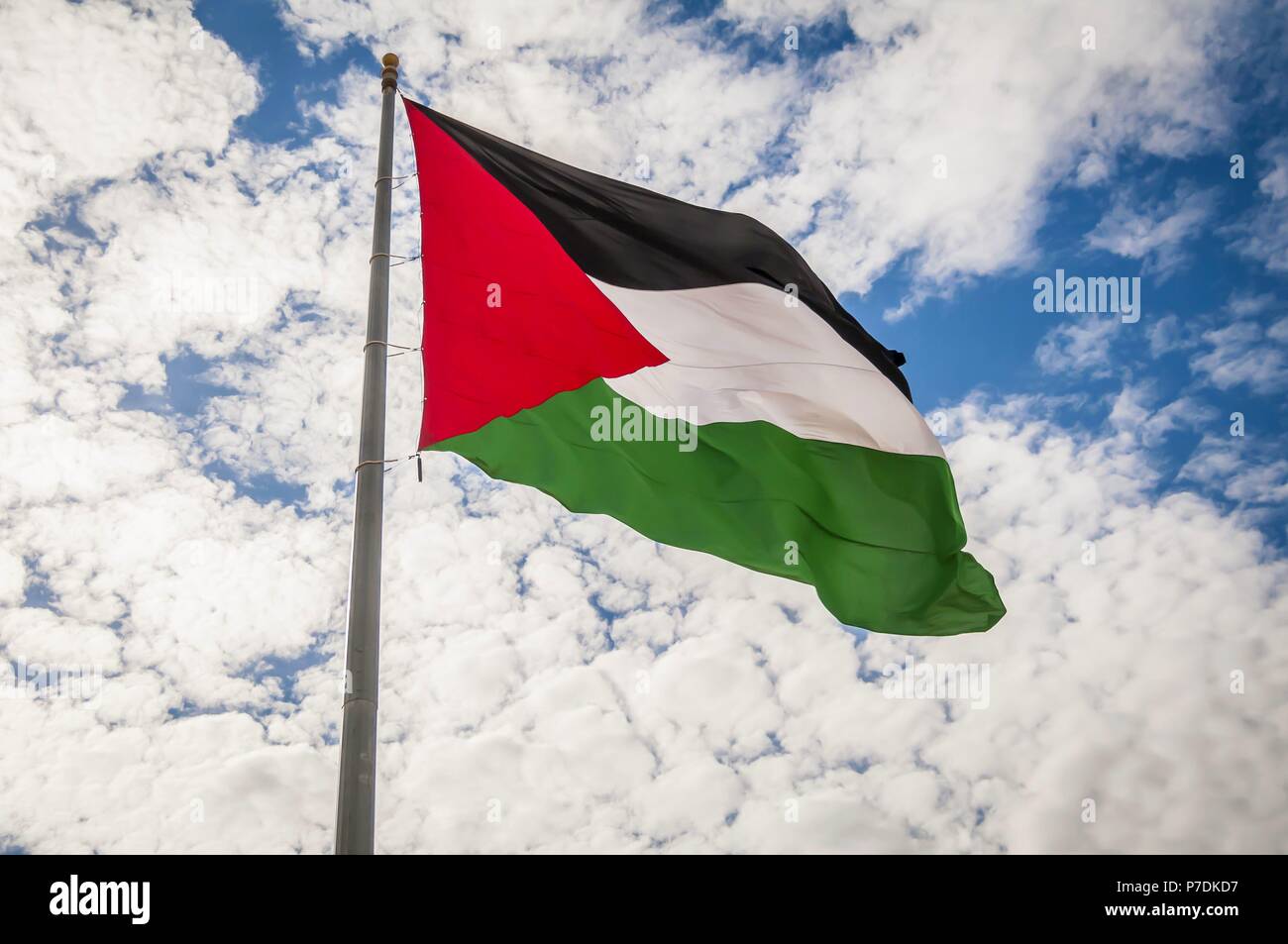Palestine flag hi-res stock photography and images - Alamy