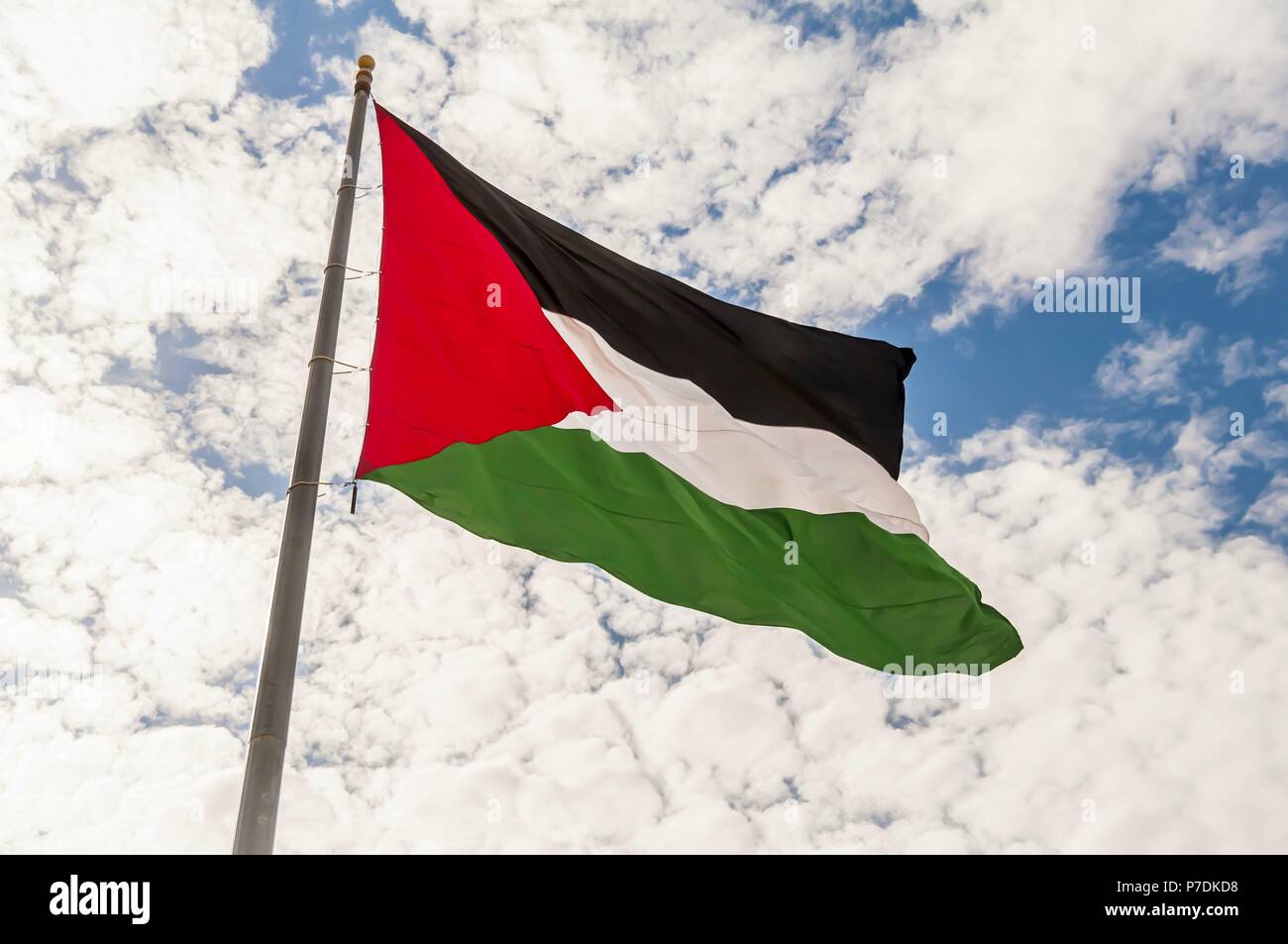 Palestinian Flag Waving