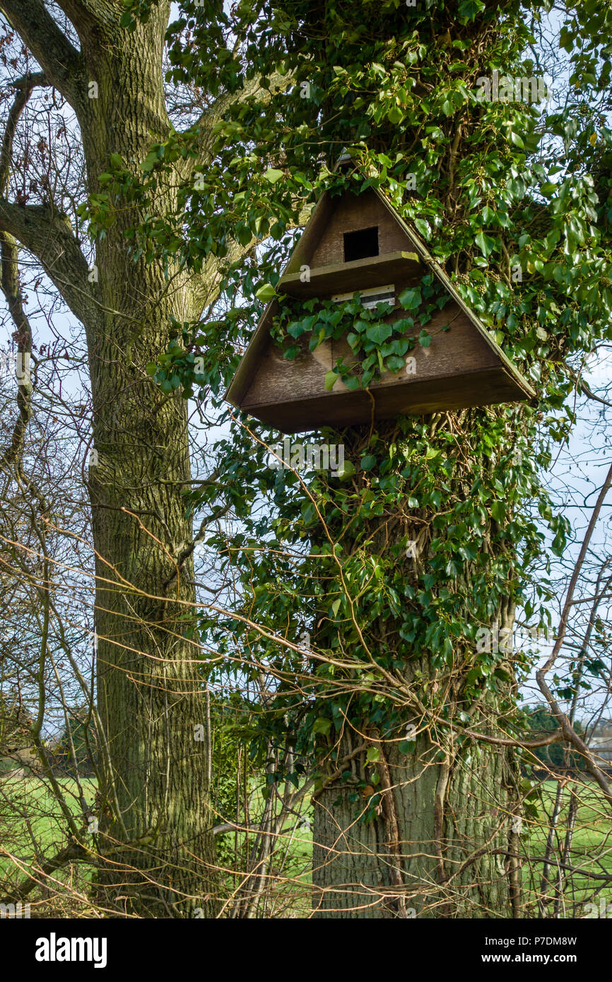 Large owl nest box hi-res stock photography and images - Alamy