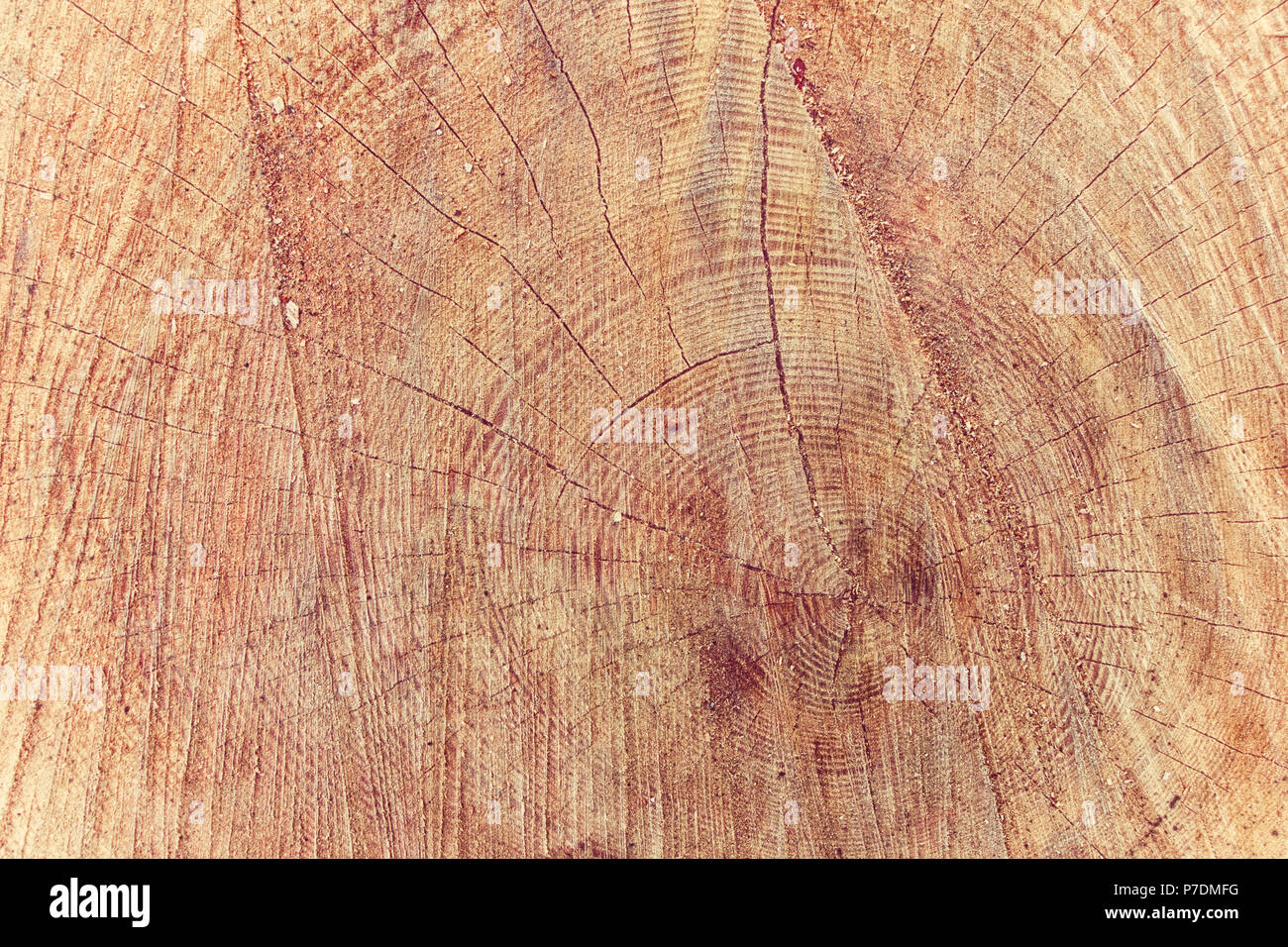 Log Cross Section Wood High Resolution Stock Photography and Images - Alamy