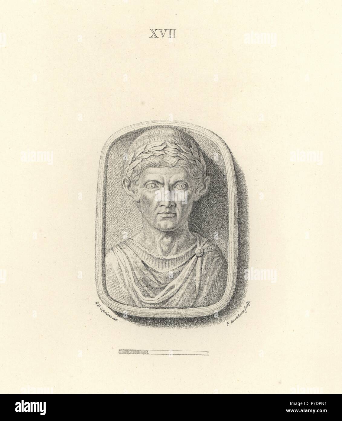 Head of Nerva, Roman Emperor, with laurel wreath. Copperplate engraving ...