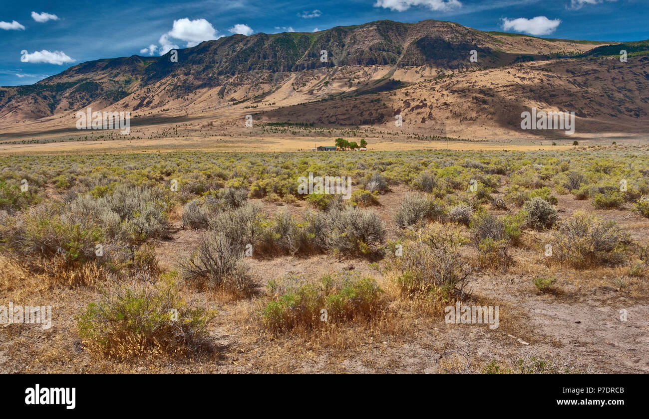 Lonely ranch in isolated area below Steens Mountain in Alvord Desert ...