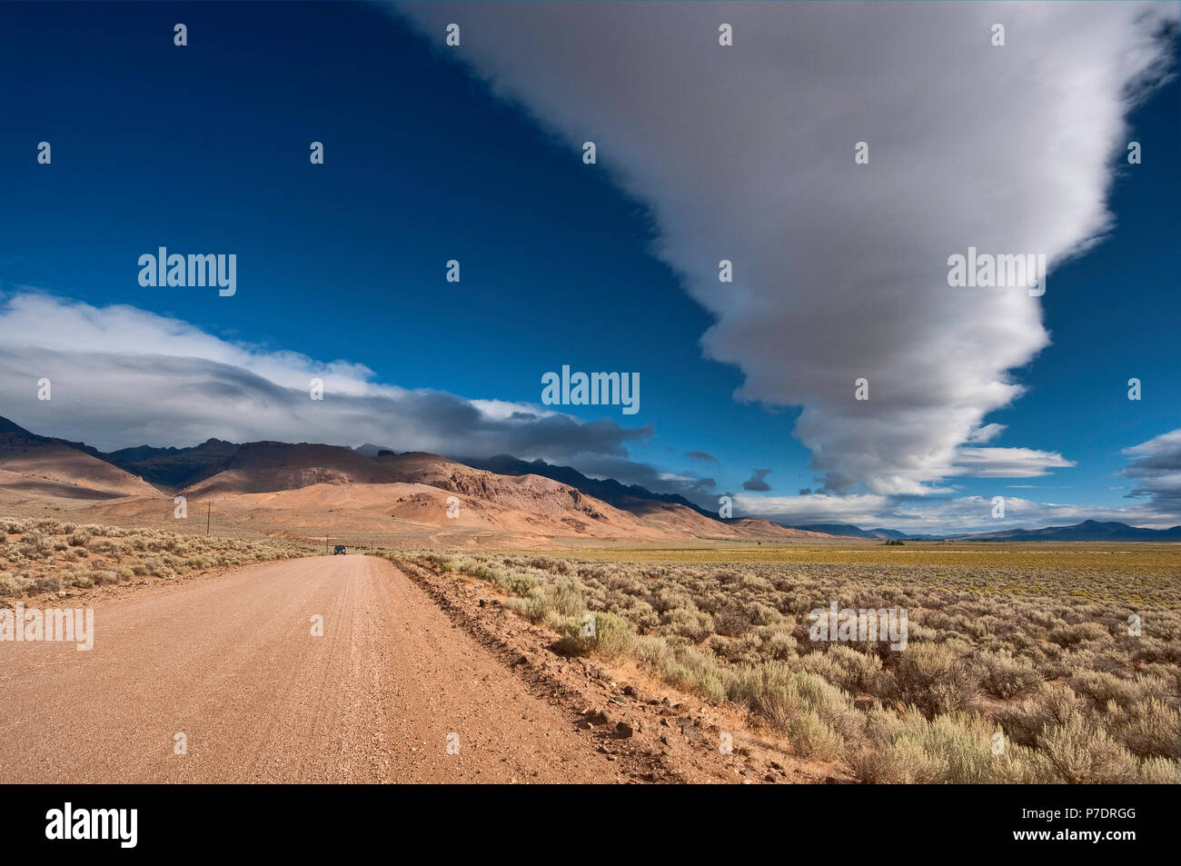 Great basin shrub steppe hi-res stock photography and images - Alamy