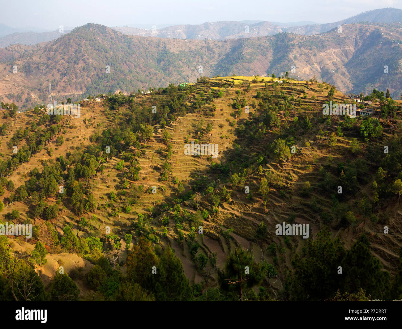 Panar maneater hi-res stock photography and images - Alamy