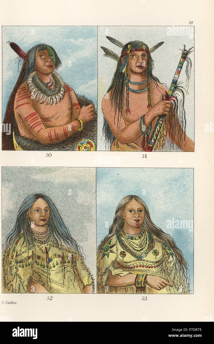 Little native mouse hi-res stock photography and images - Alamy