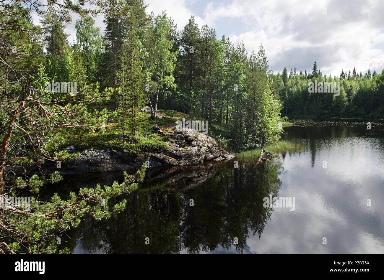 Wooded shore of a large lake. Forests along the coast Stock Photo - Alamy