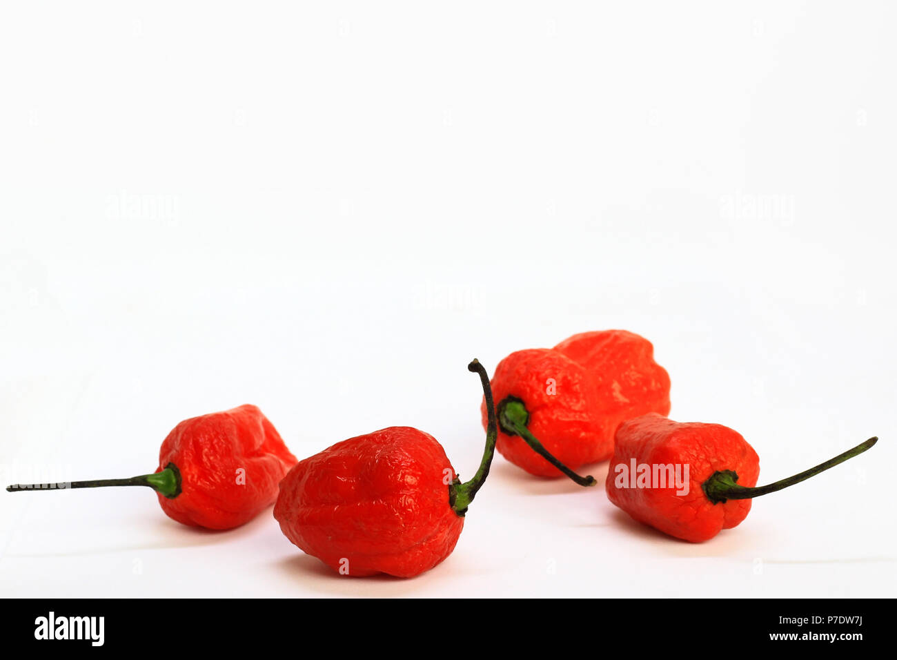 Bunch of Red Bhoot Jolokia Spicy ghost pepper isolated in white ...