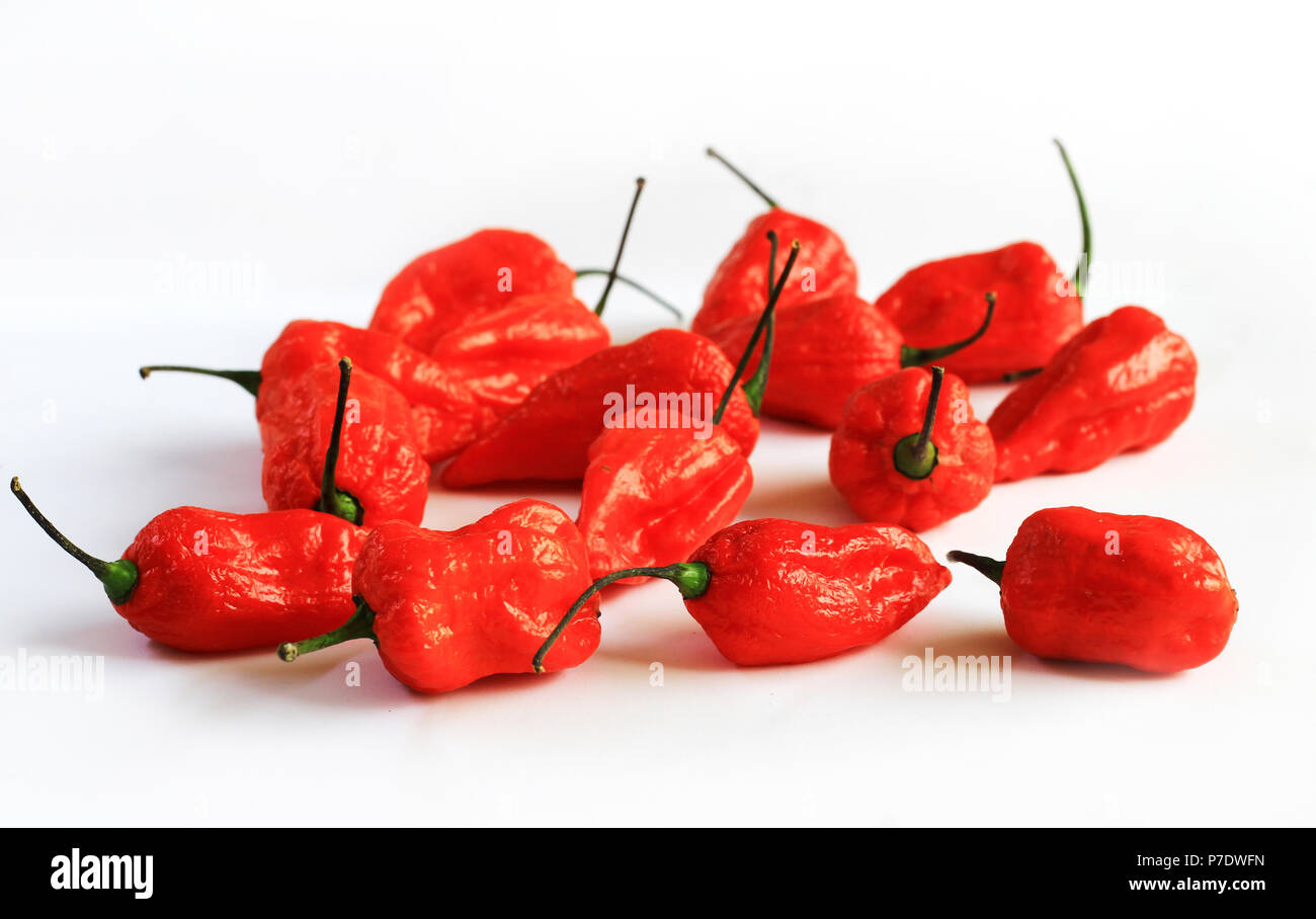 Bunch of Red Bhoot Jolokia Spicy ghost pepper isolated in white ...