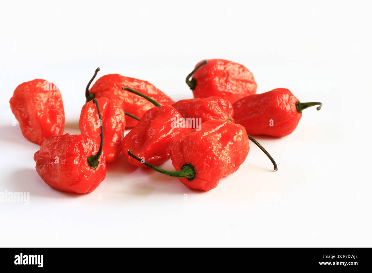 Bunch of Red Bhoot Jolokia Spicy ghost pepper isolated in white ...