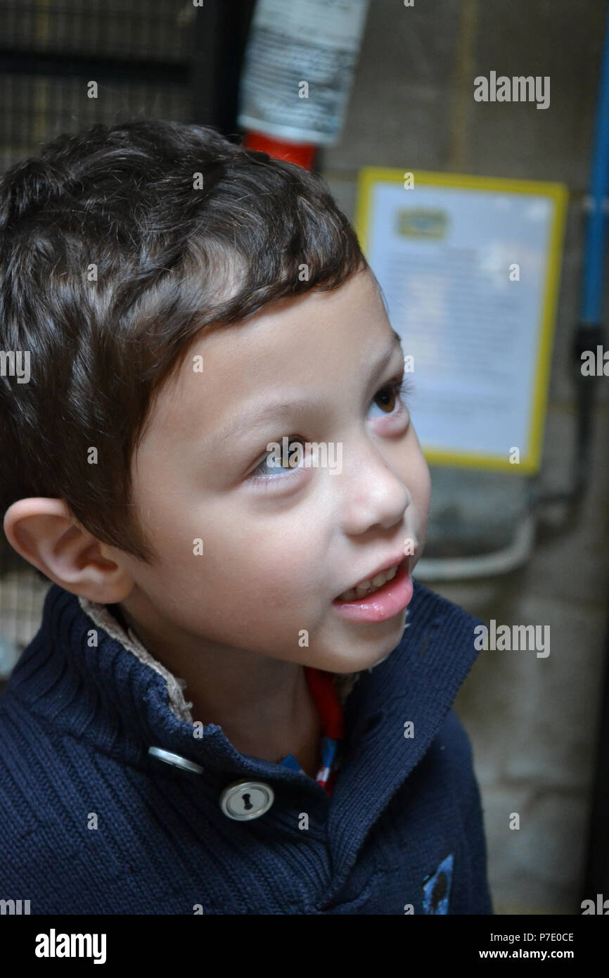 Expectantly hi-res stock photography and images - Alamy