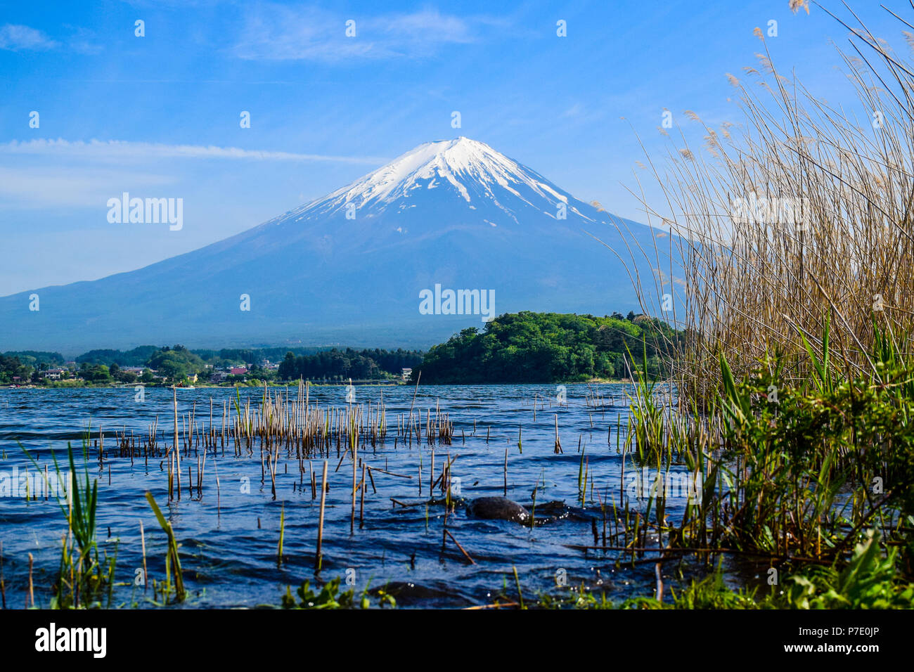 The famous mount Fuji view in the clear blue sky from Kawaguchiko lake ...
