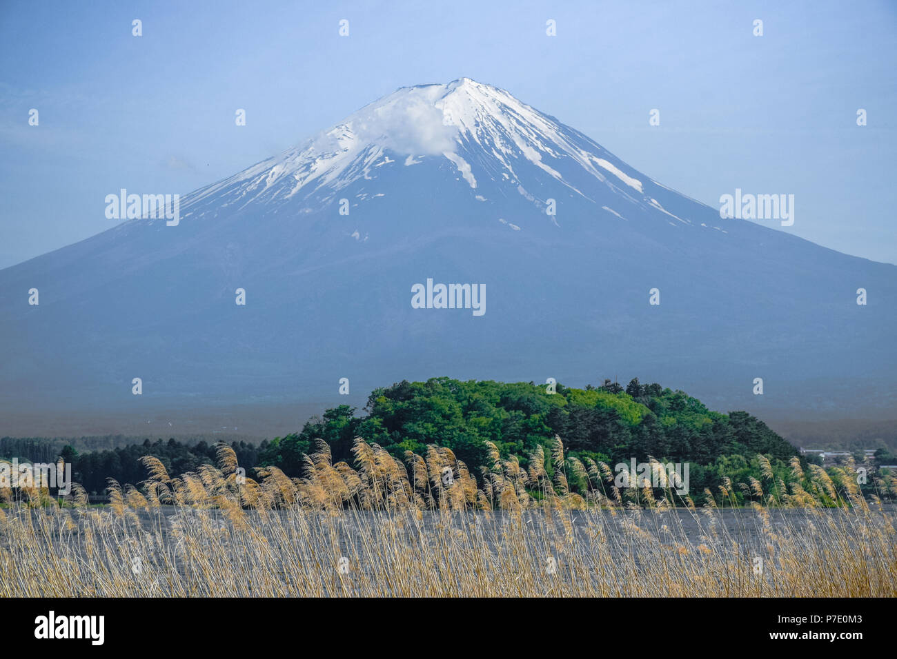 The famous mount Fuji view in the clear blue sky from Kawaguchiko lake ...