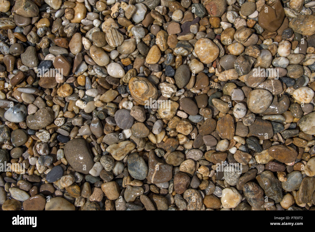 Colorful wet round pebbles Stock Photo - Alamy
