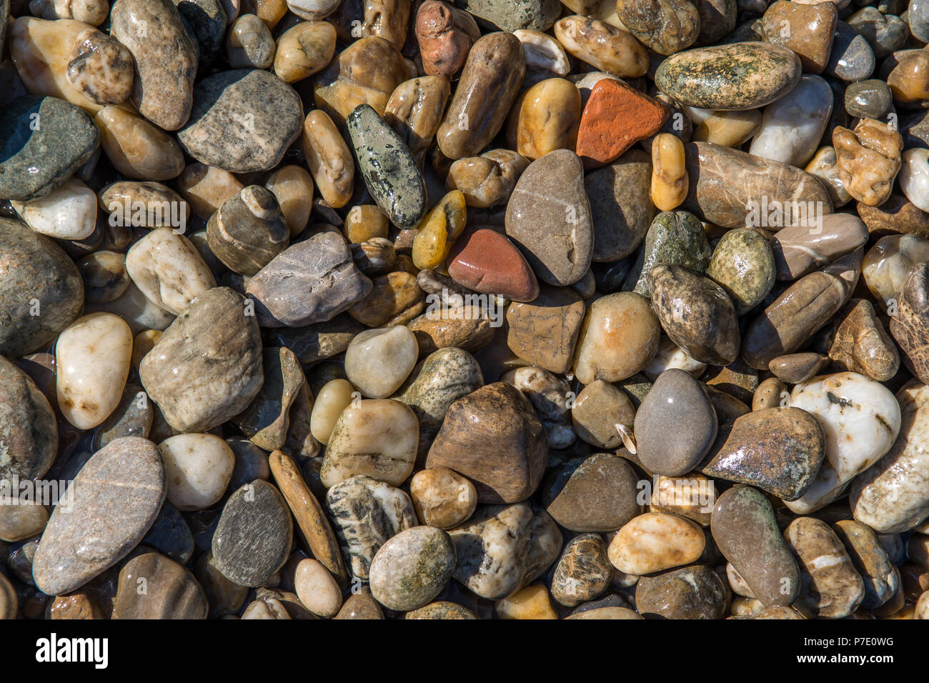 Colorful wet round pebbles Stock Photo - Alamy