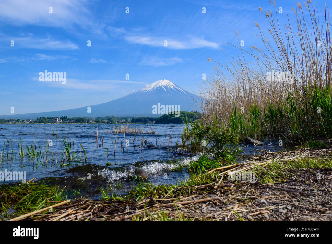 The famous mount Fuji view in the clear blue sky from Kawaguchiko lake ...