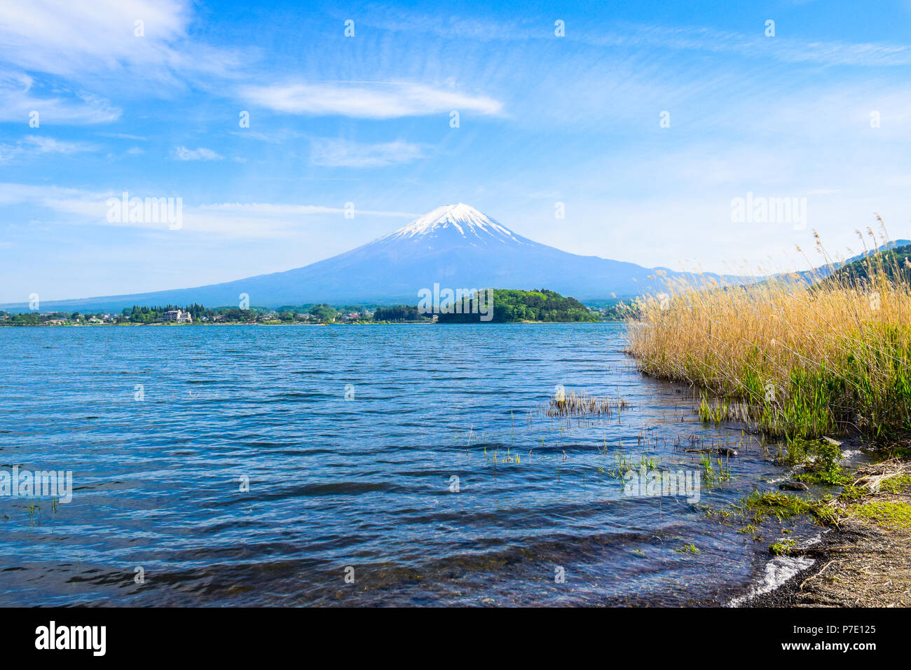 The famous mount Fuji view in the clear blue sky from Kawaguchiko lake ...