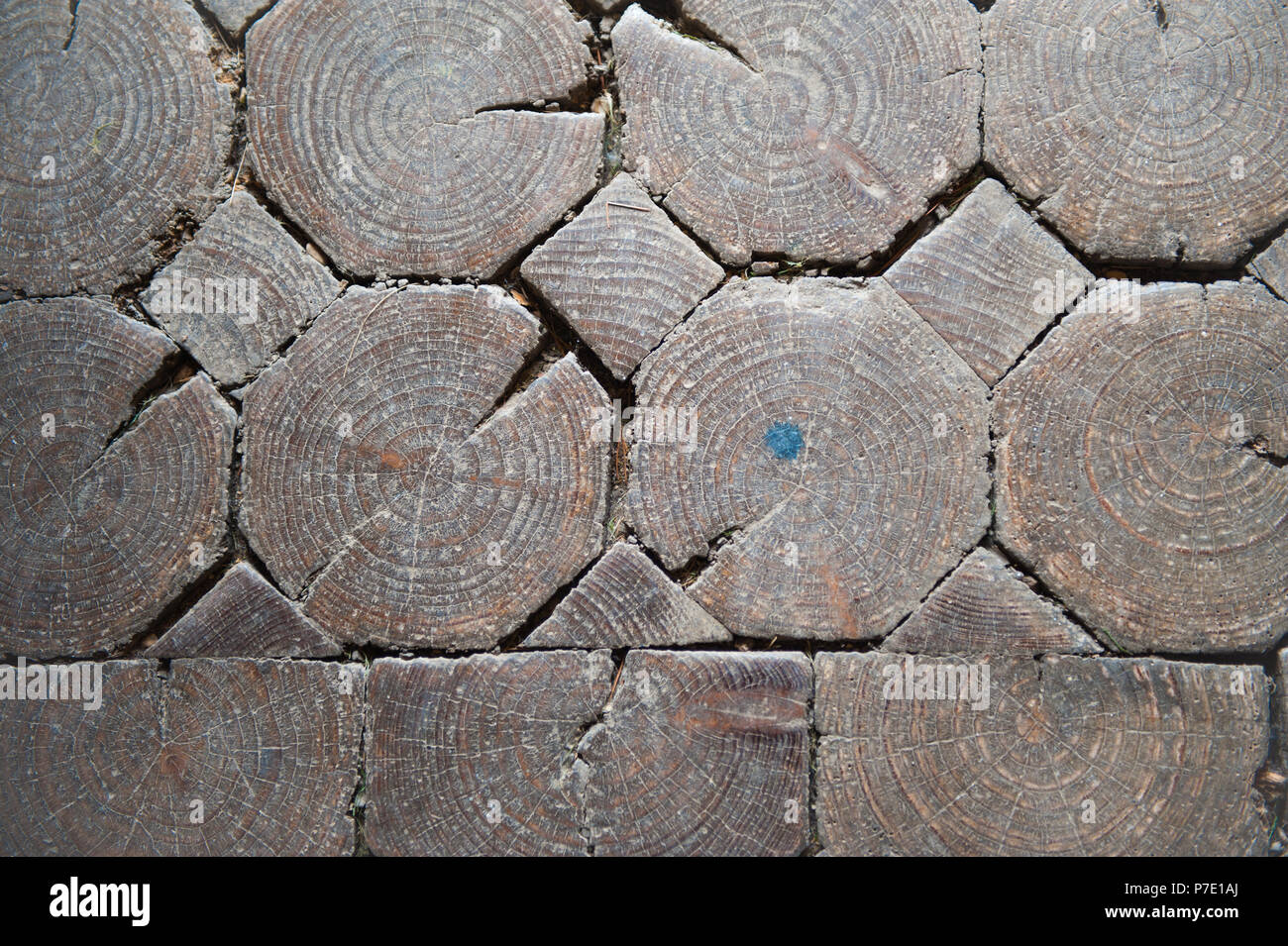 Blue spot on old wooden floor blocks Stock Photo - Alamy