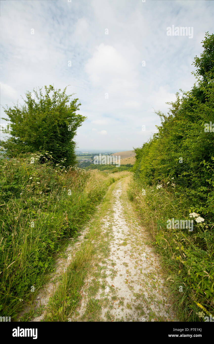 Fontmell nature reserve hi-res stock photography and images - Alamy