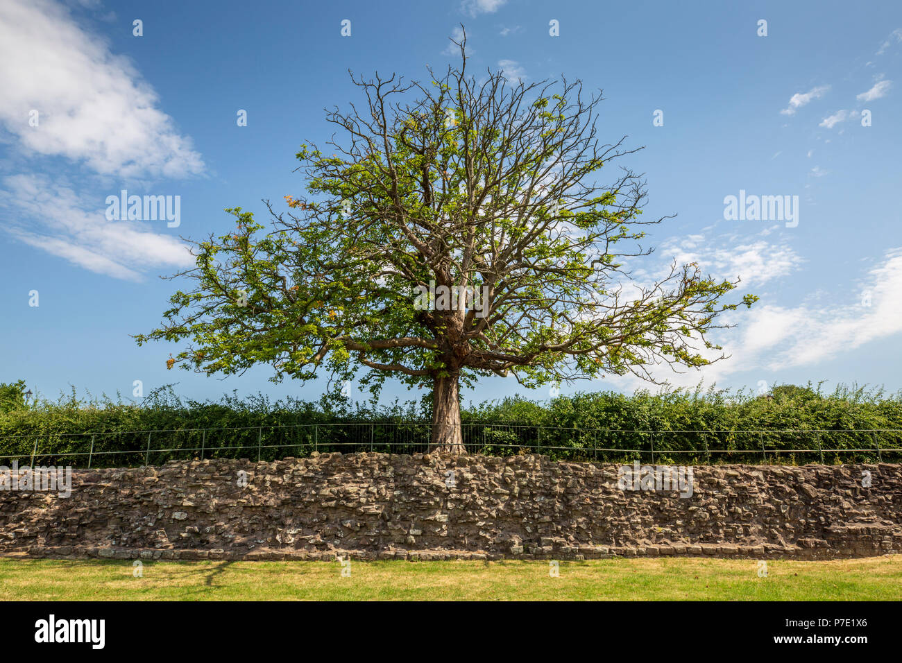 Caerleon wales hi-res stock photography and images - Alamy