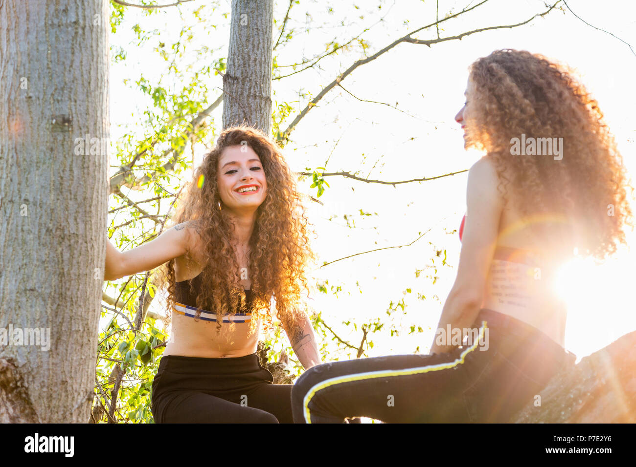 The bra tree hi-res stock photography and images - Alamy