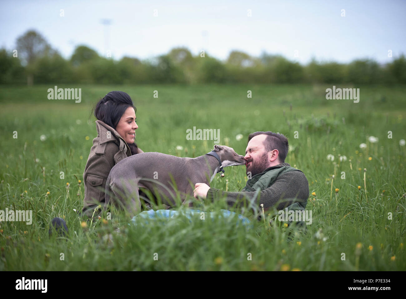 Reclining dog hi-res stock photography and images - Alamy