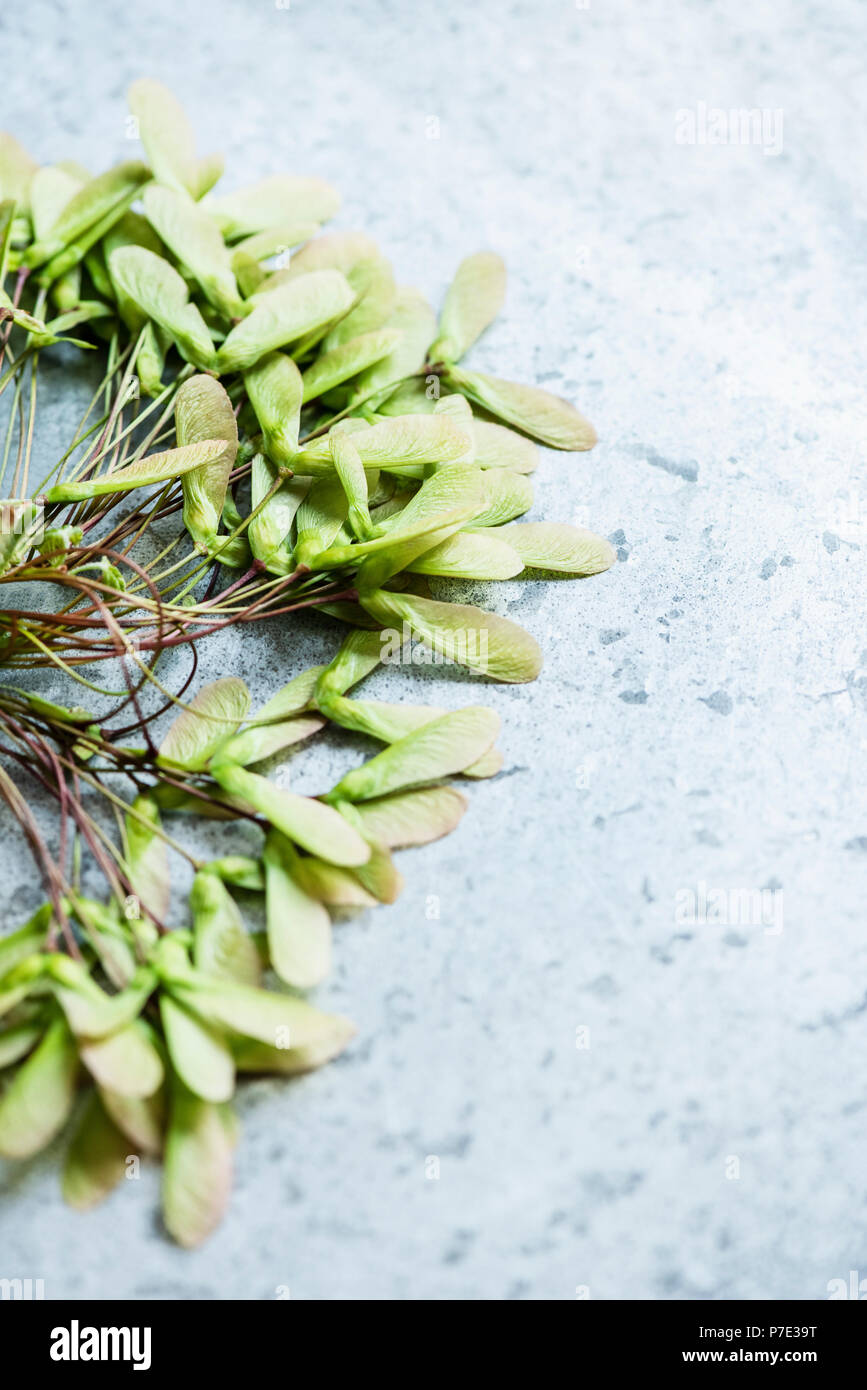 Overhead leaves hi-res stock photography and images - Alamy