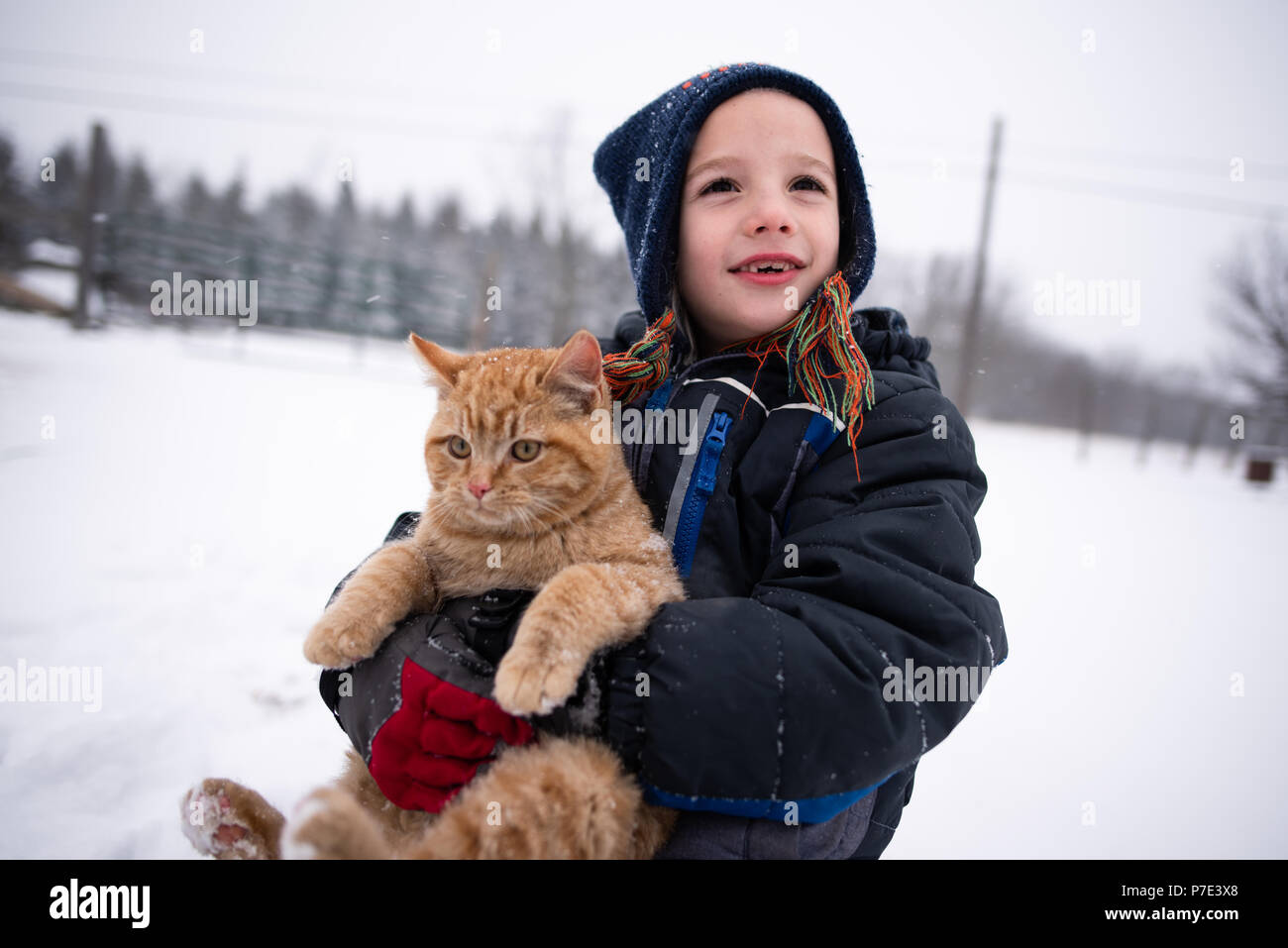 Boy carrying cat in snow Stock Photo - Alamy