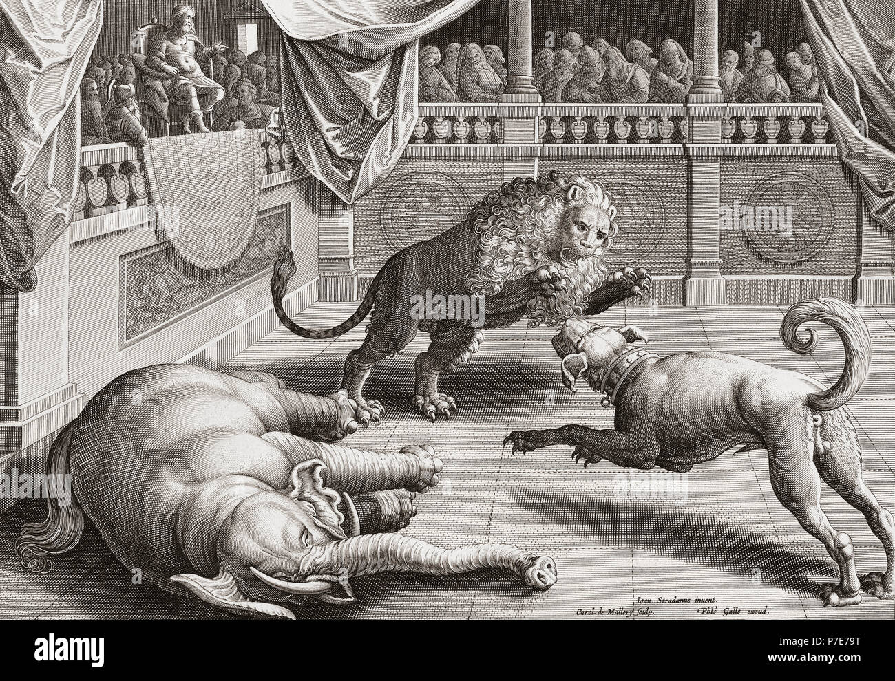 Alexander the Great watching animals fight. 16th century engraving ...