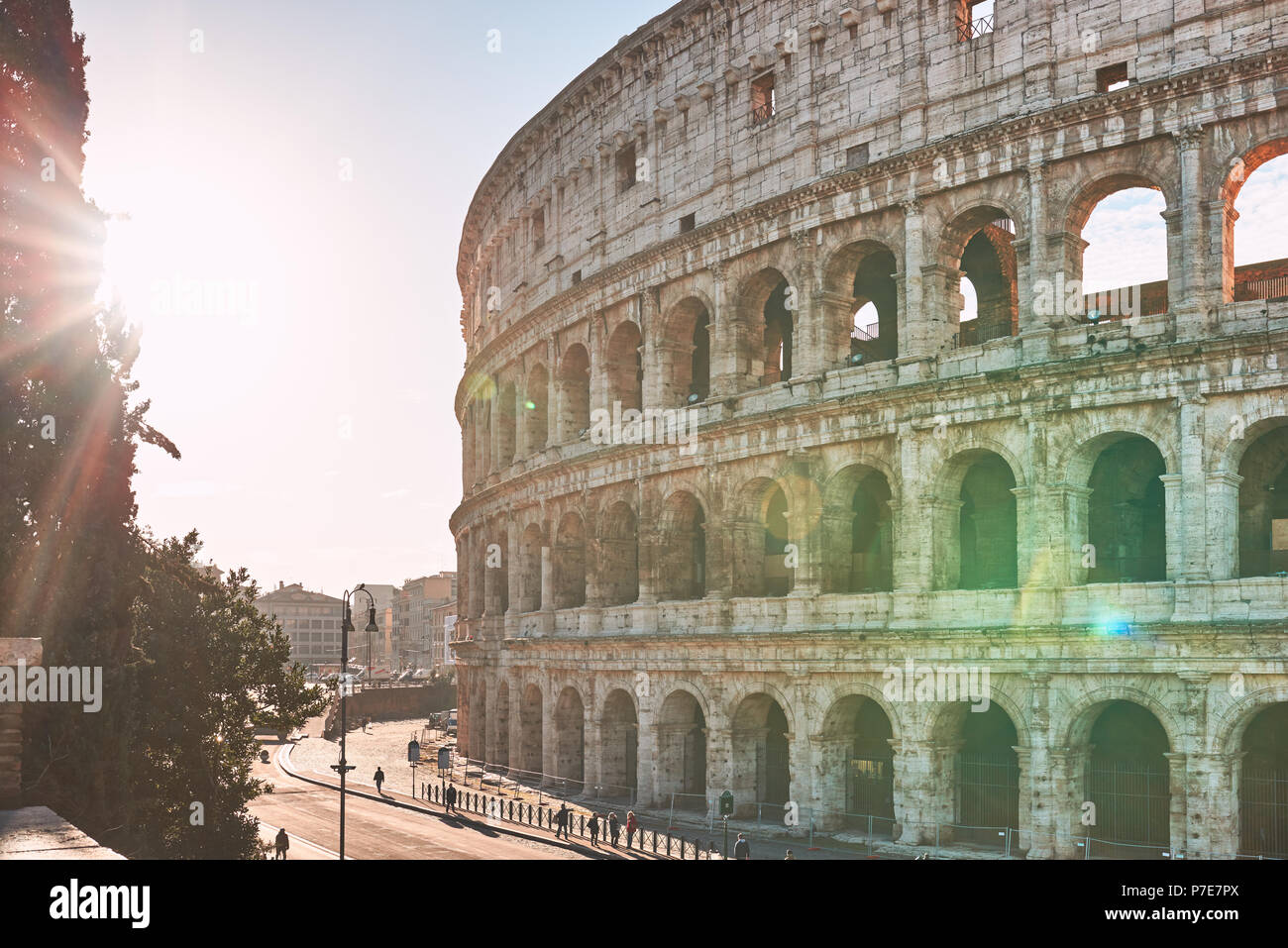 Colosseum and trees hi-res stock photography and images - Alamy