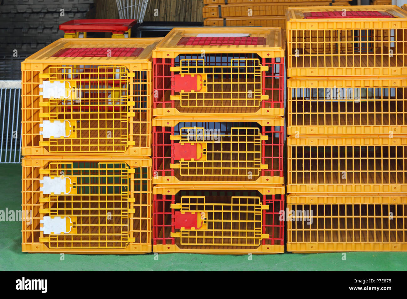 Plastic Cages for Use at Agriculture Farm Stock Photo - Alamy