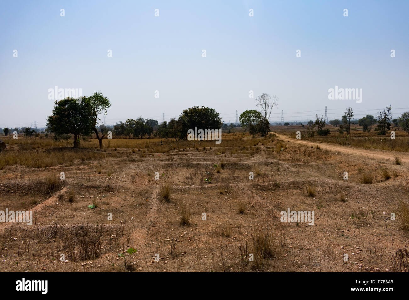 Dry paddy field hi-res stock photography and images - Alamy