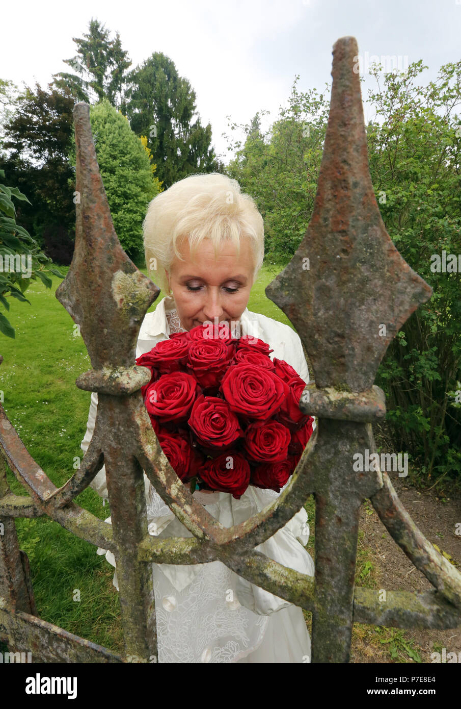 The rose photos hi-res stock photography and images - Alamy