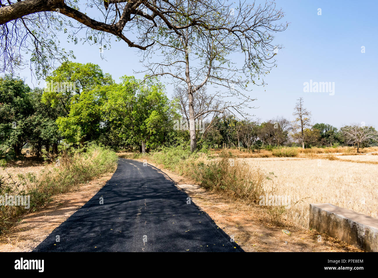 close view of Newly made bitumen road at rural village looking awesome ...
