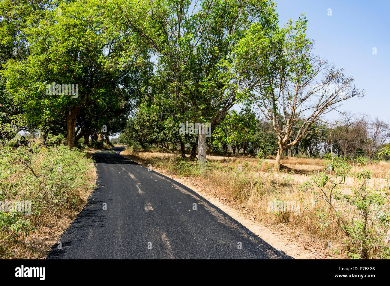 Bitumen Stock Photos & Bitumen Stock Images - Alamy