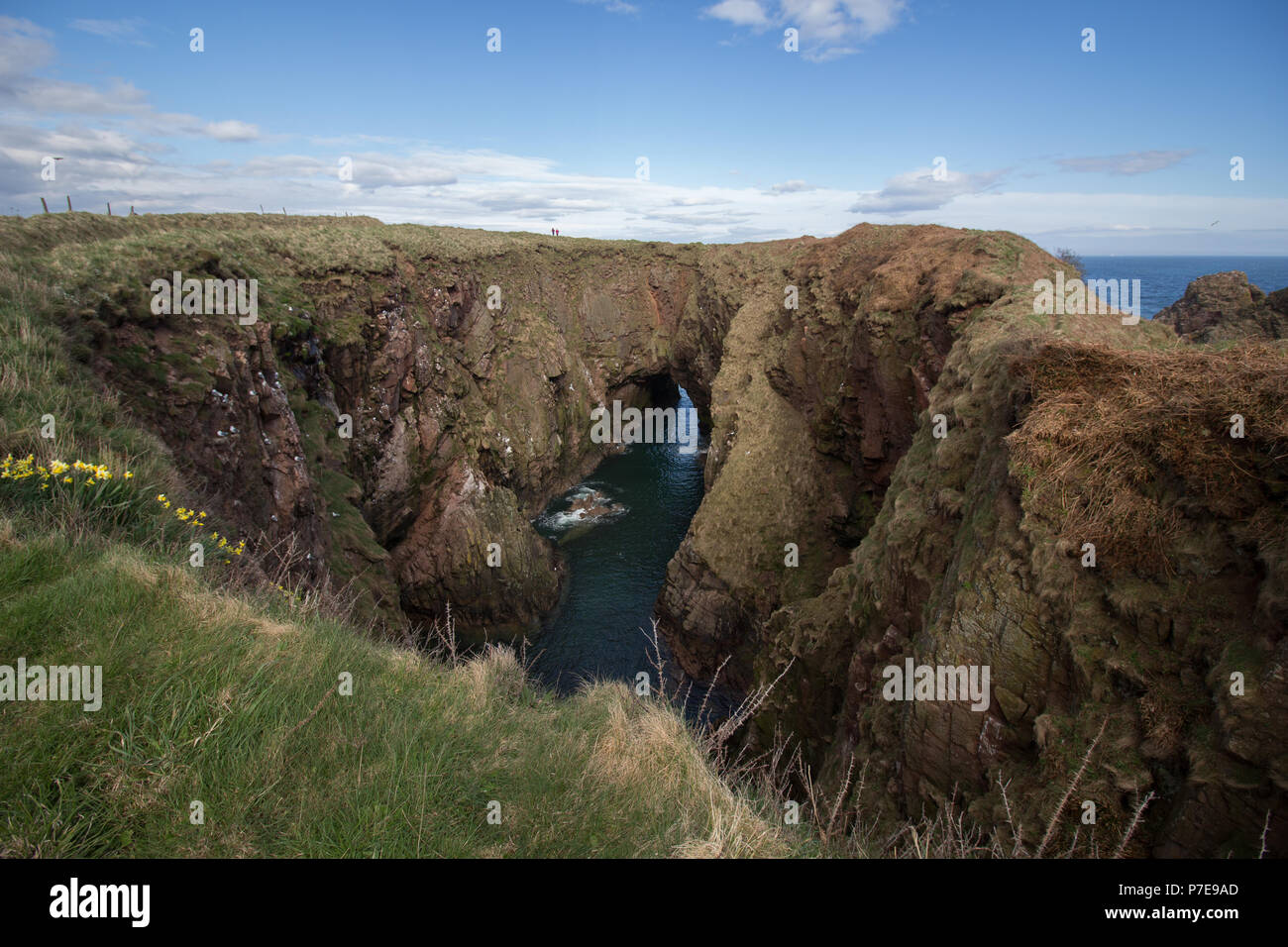 Bullers of buchan scotland hi-res stock photography and images - Alamy
