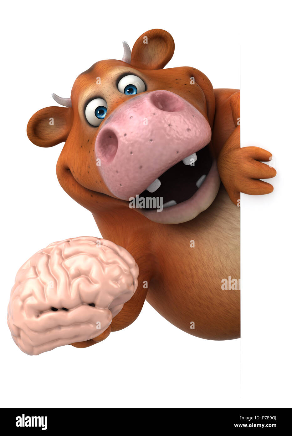 Cow brain Cut Out Stock Images & Pictures - Alamy