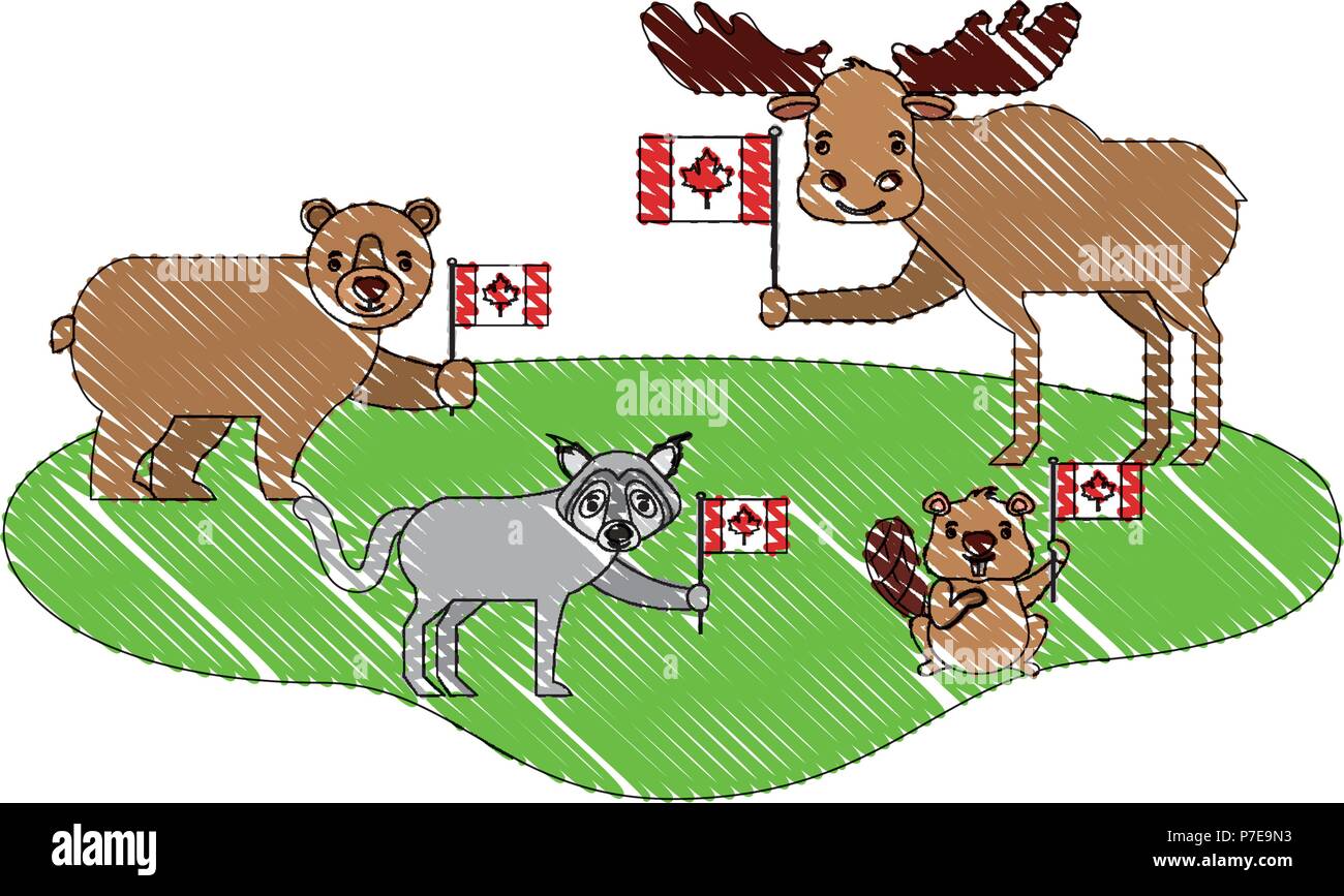 cute wolf bear moose and beaver with canadian flag vector illustration ...