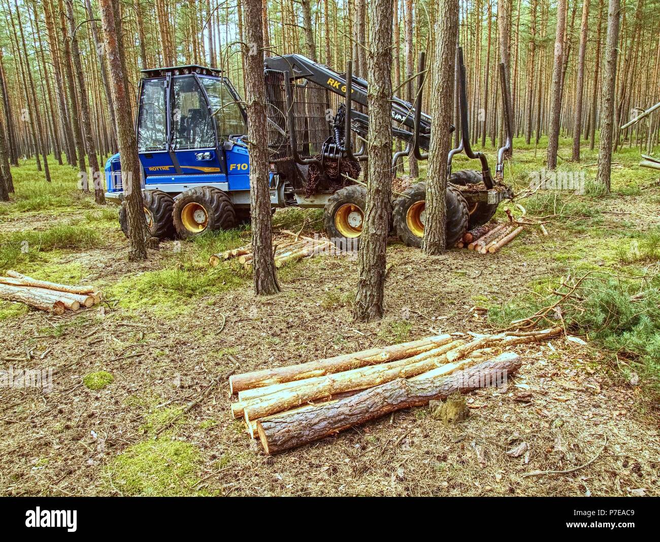 Rainforest logging harvester hi-res stock photography and images - Alamy