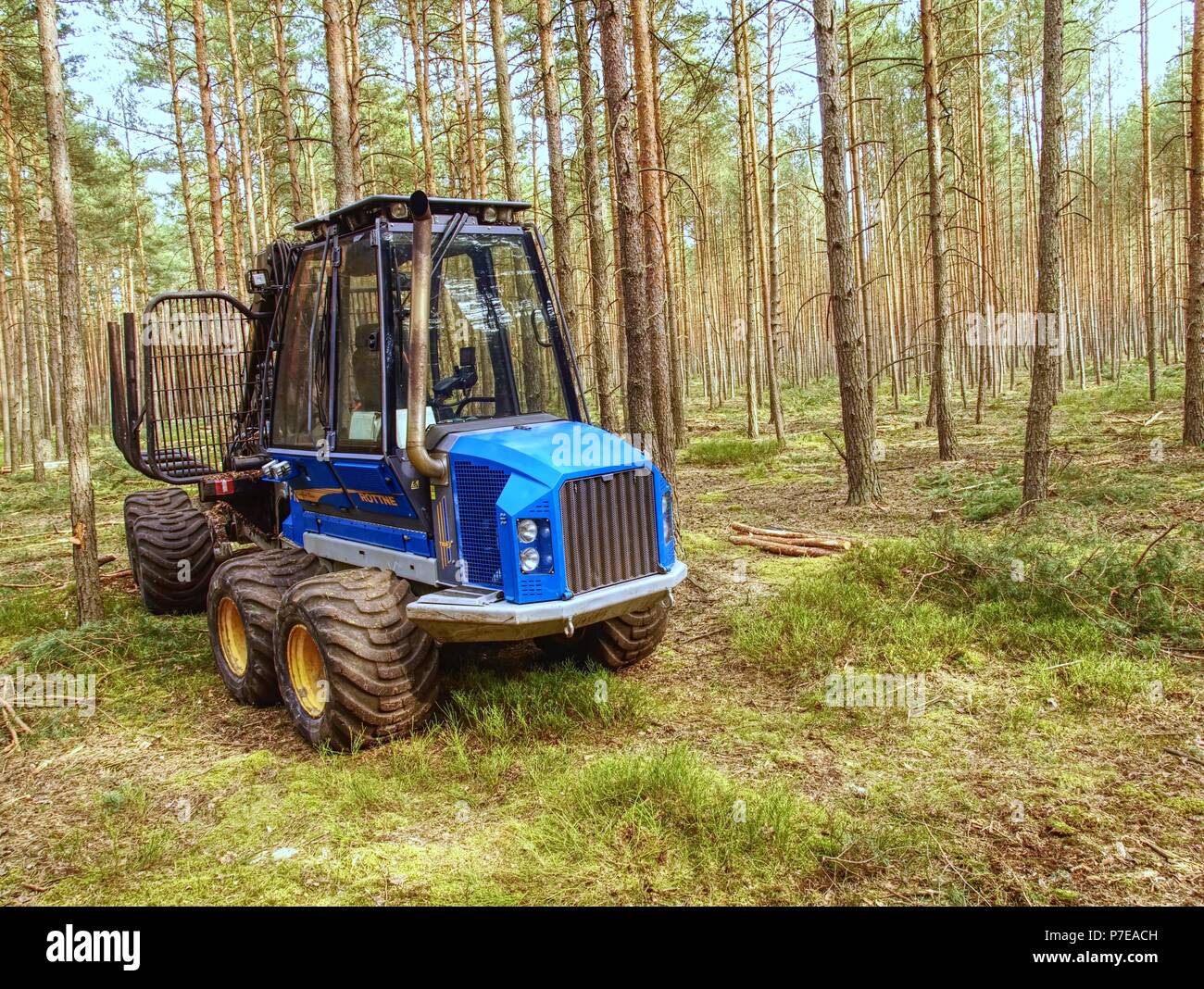 Rainforest logging harvester hi-res stock photography and images - Alamy