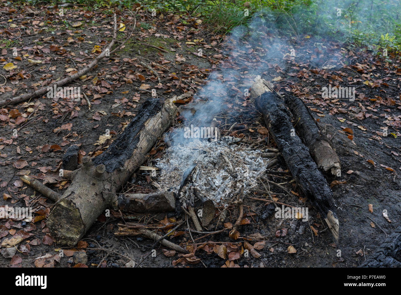 fire place in forrest close up view with grey ash and small fire autumn ...