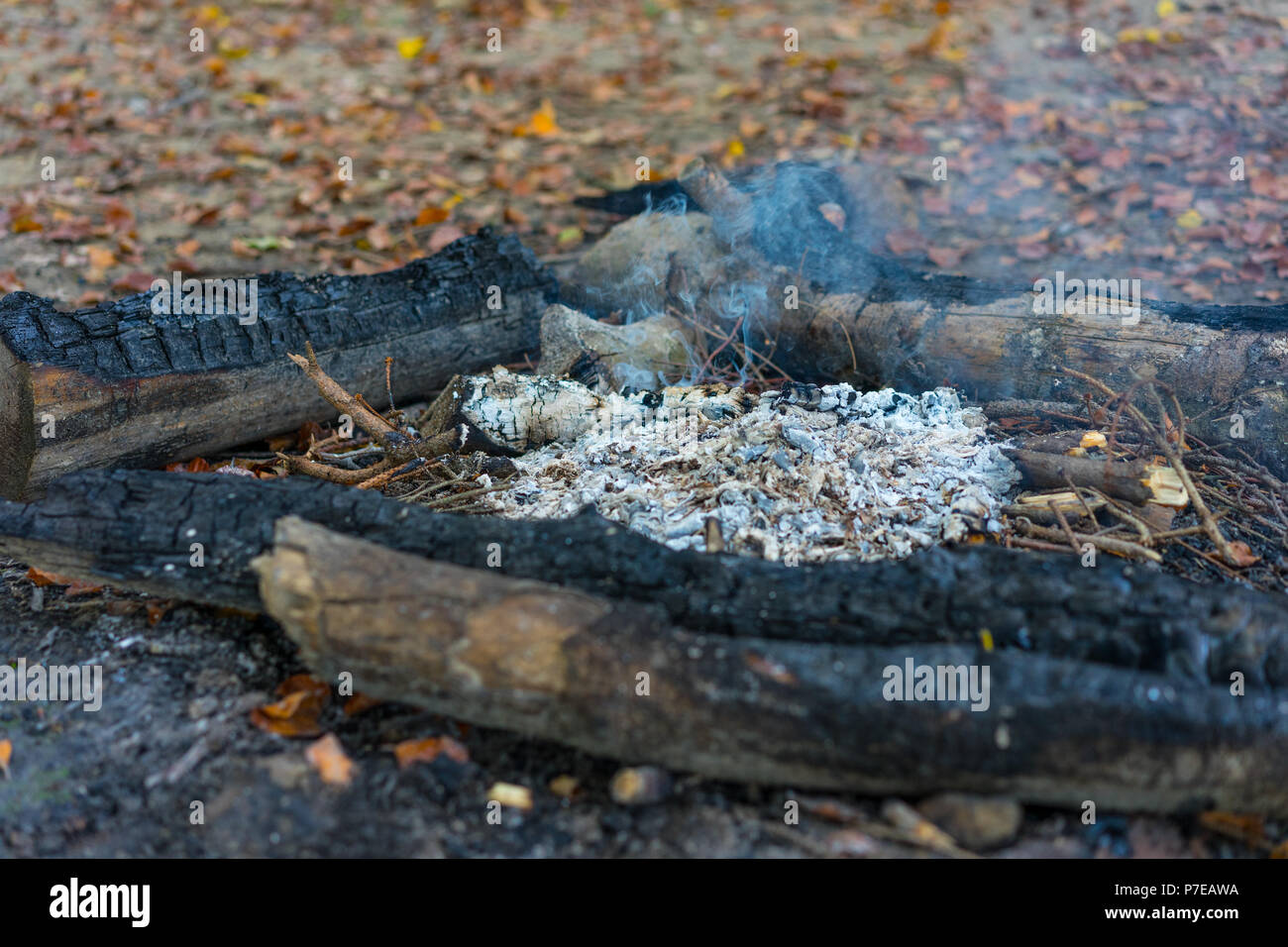 hiking fire place bbq in forest with small fire and ash boy scout ...