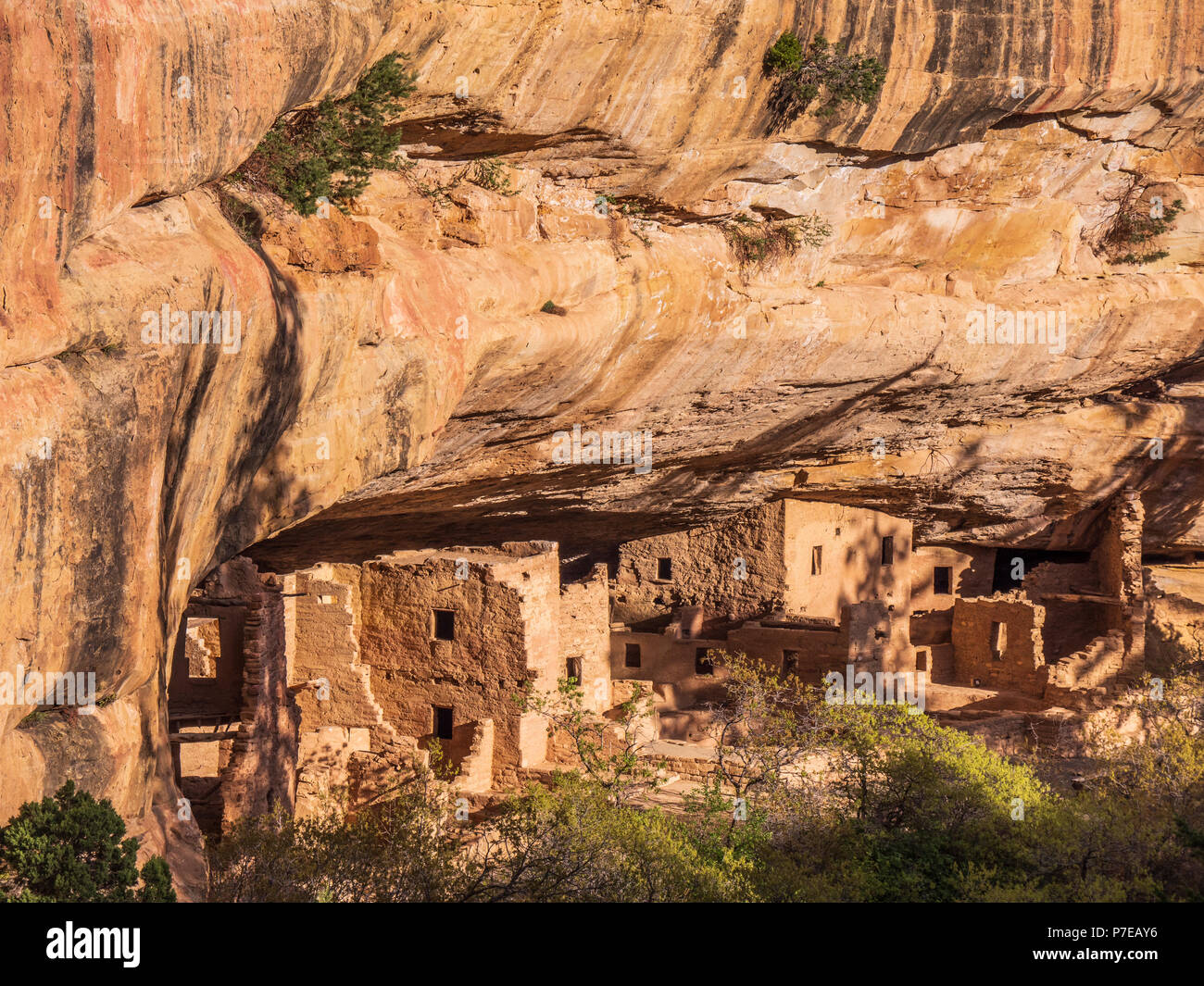 Spruce Tree House ruins, Chapin Mesa, Mesa Verde National Park ...